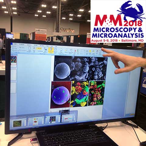 Microscopy & Microanalysis 2018 - Digital Surf