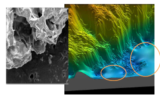 SEM image 3D reconstruction: what accuracy can I expect? - Digital Surf