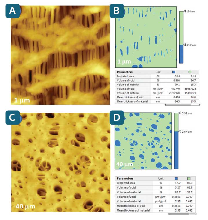 From the image folder of an AFM practitioner - Digital Surf