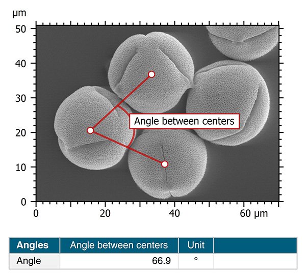 Measure any object in a microscope image - Digital Surf