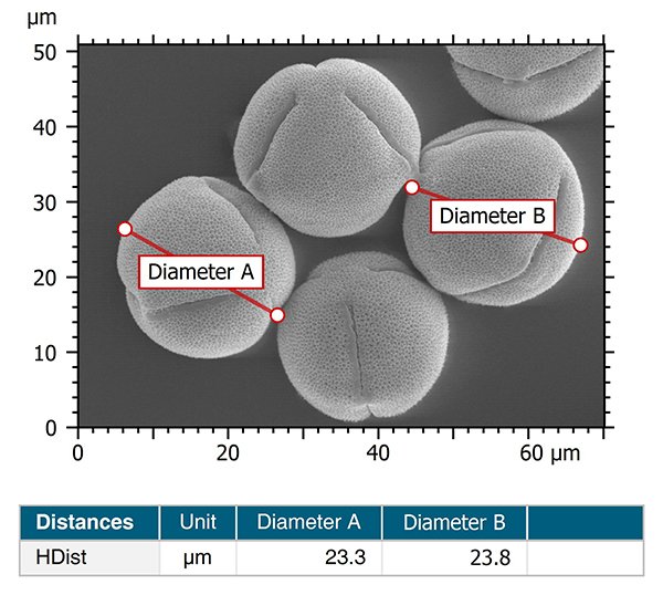 Measure any object in a microscope image - Digital Surf