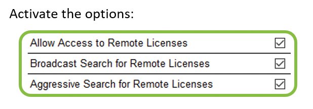 How to install and use a network license - Digital Surf
