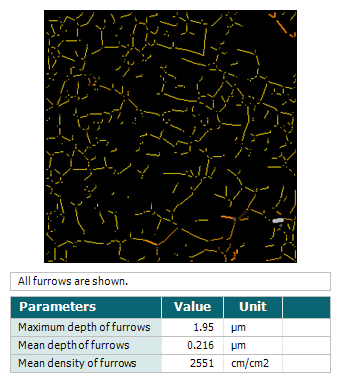 Quantifying use-wear on quartzite stone tools - Digital Surf