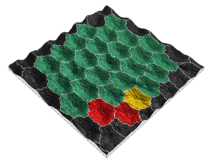 AFM image analysis: a comprehensive guide - Digital Surf